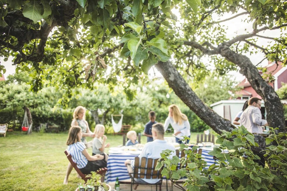 5 Benefits of a well- maintained garden — Sistability - Nurturing Homes ...