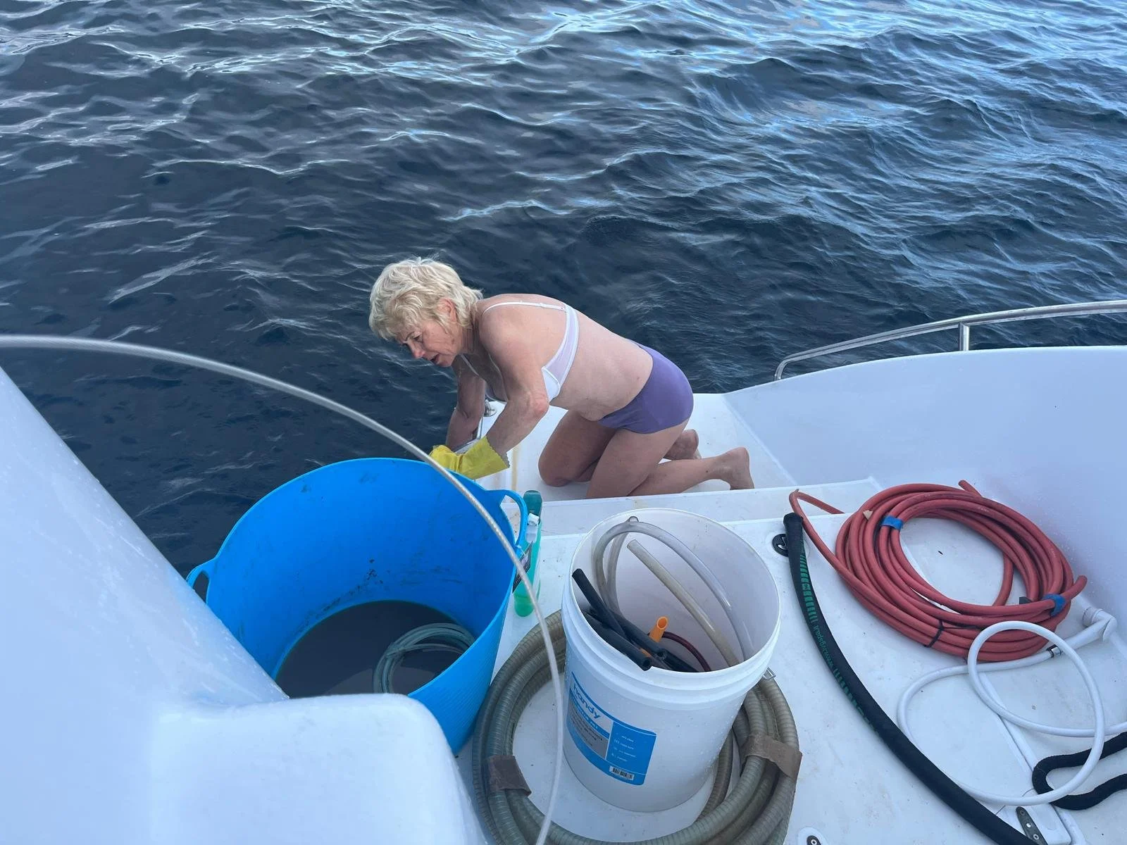 It’s a Shit Show! — Ro Your Boat