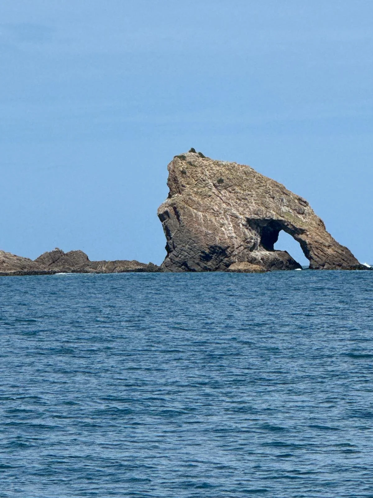 Charming Port Chalmers — Ro Your Boat
