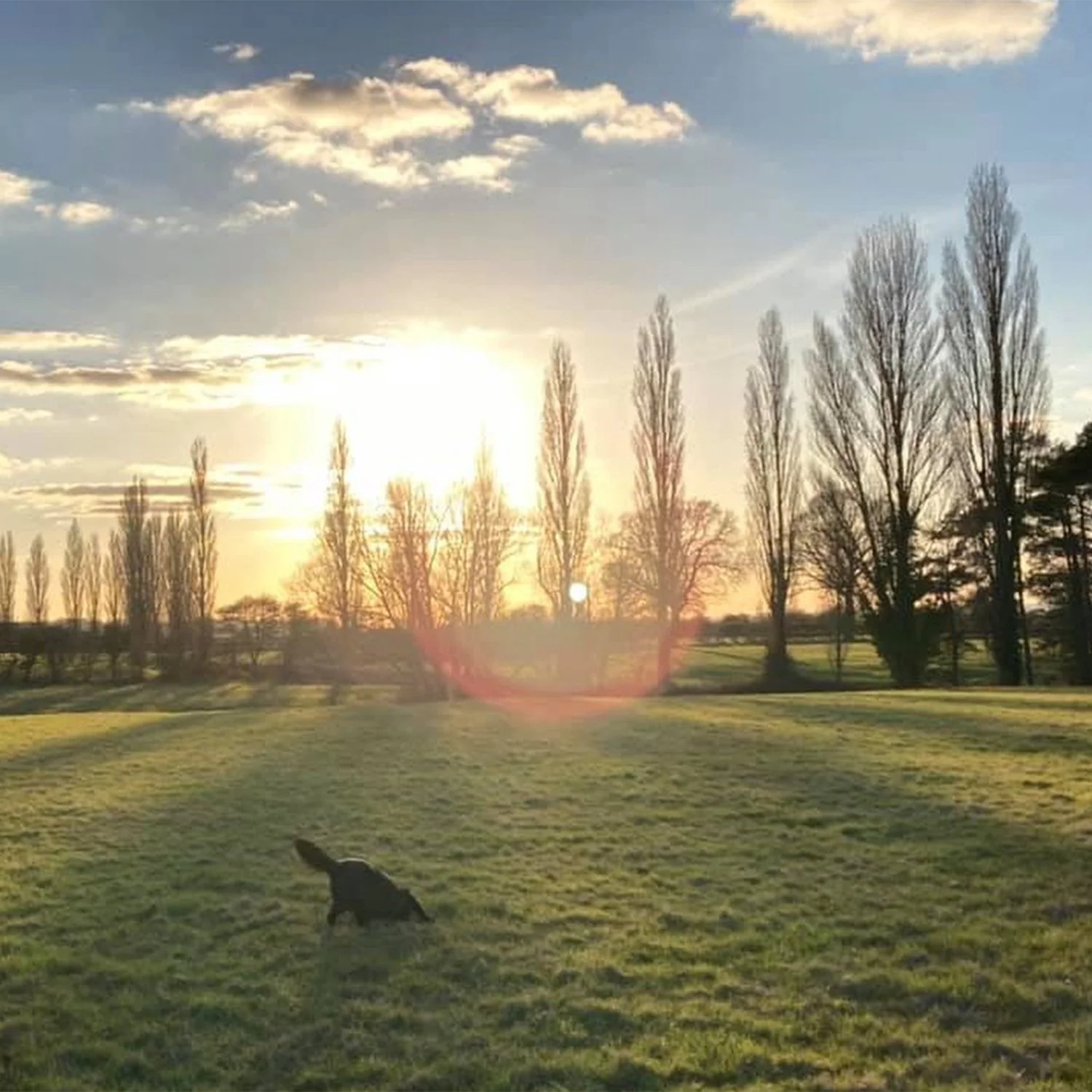 Parish Councillors — Rowde Village