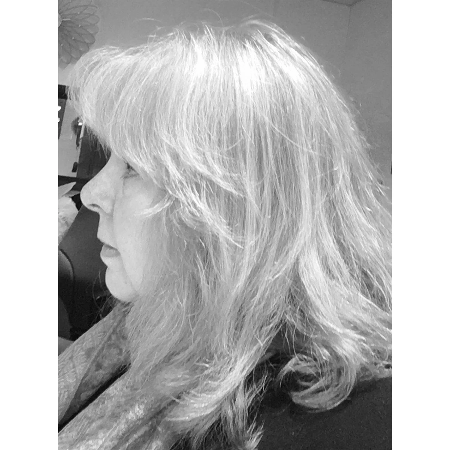 Parish Councillors — Rowde Village