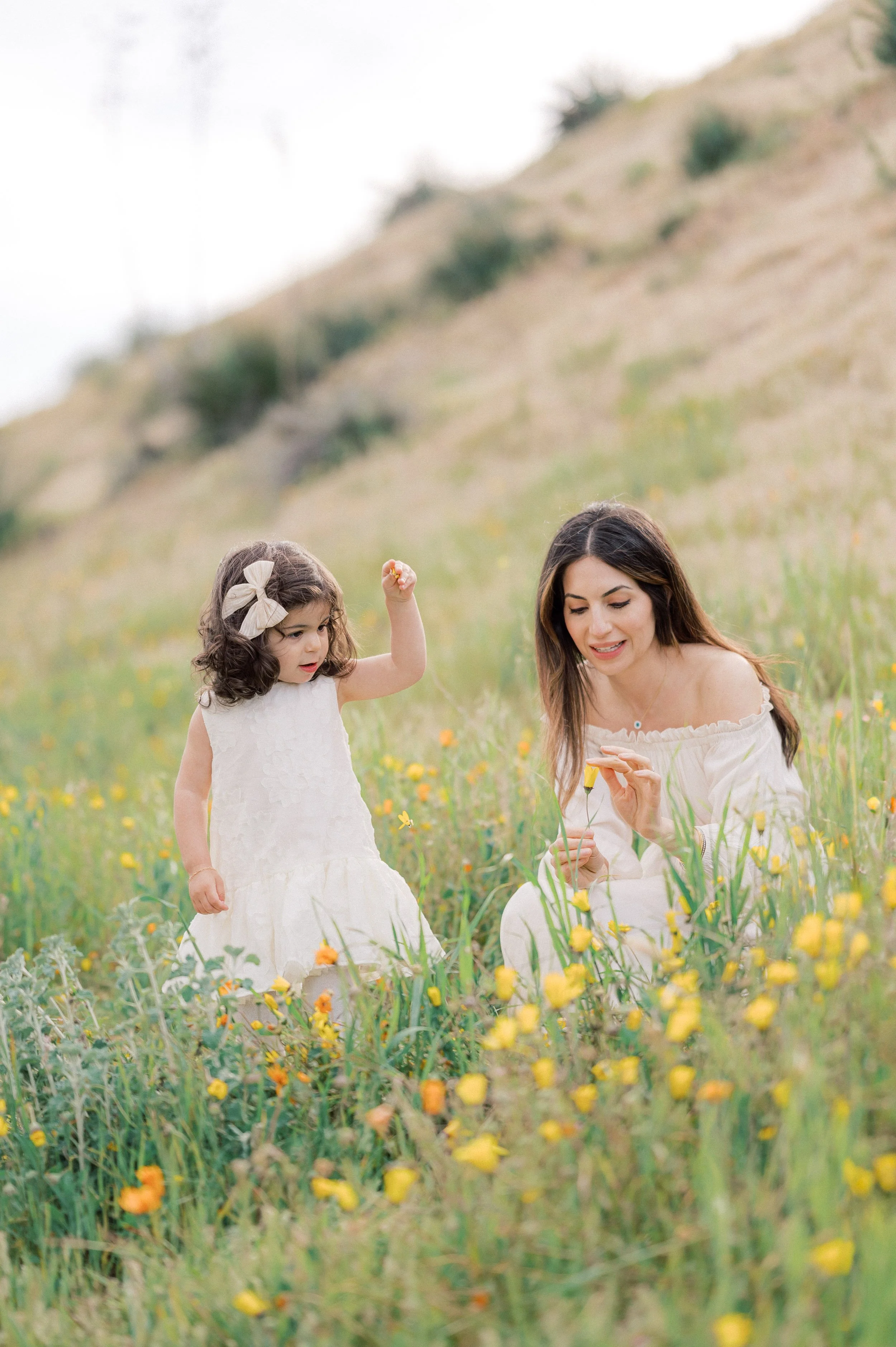 A Family Wildflower Session | Westlake Village, CA — Megan W Photography