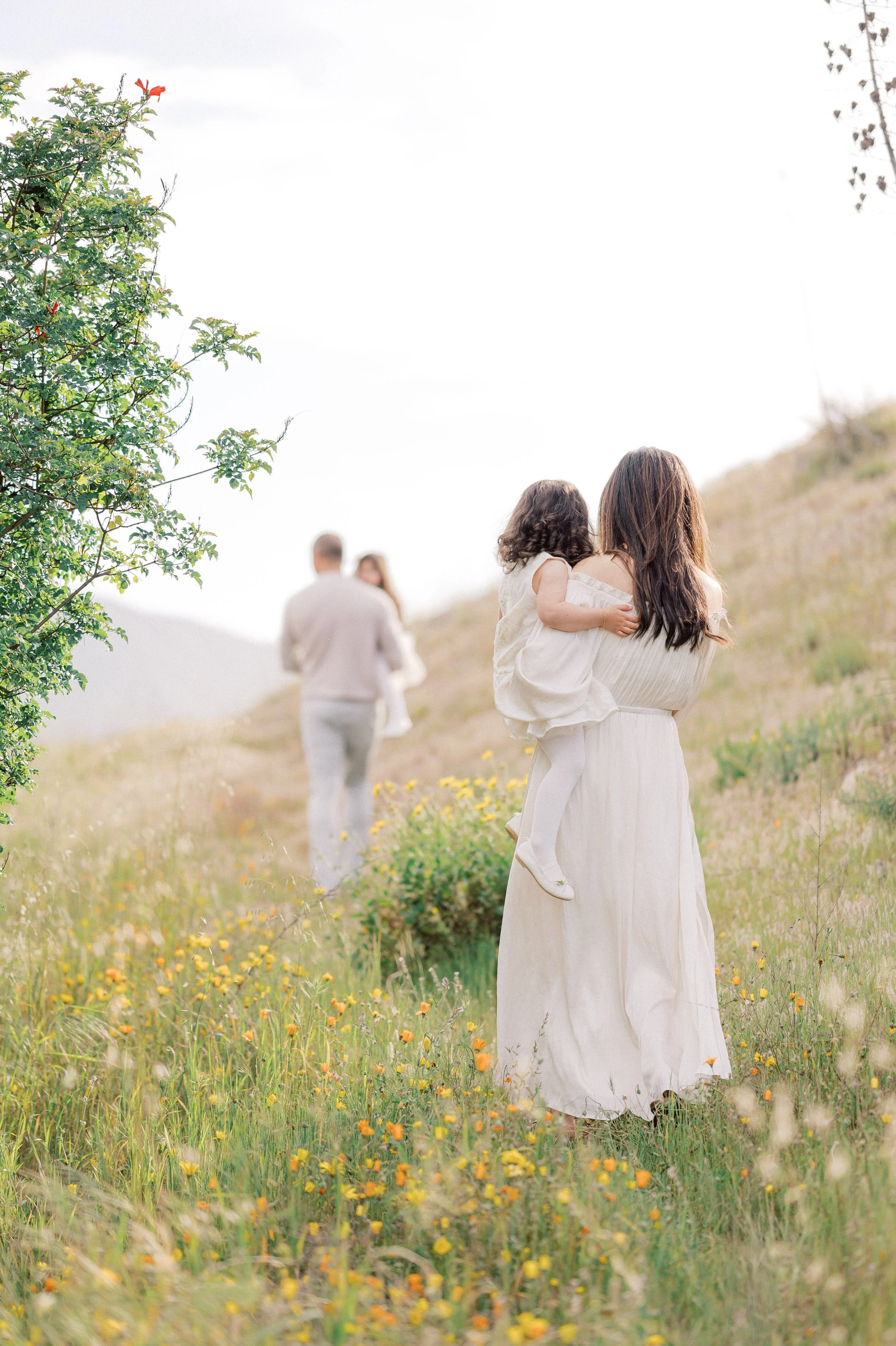 A Family Wildflower Session | Westlake Village, CA — Megan W Photography