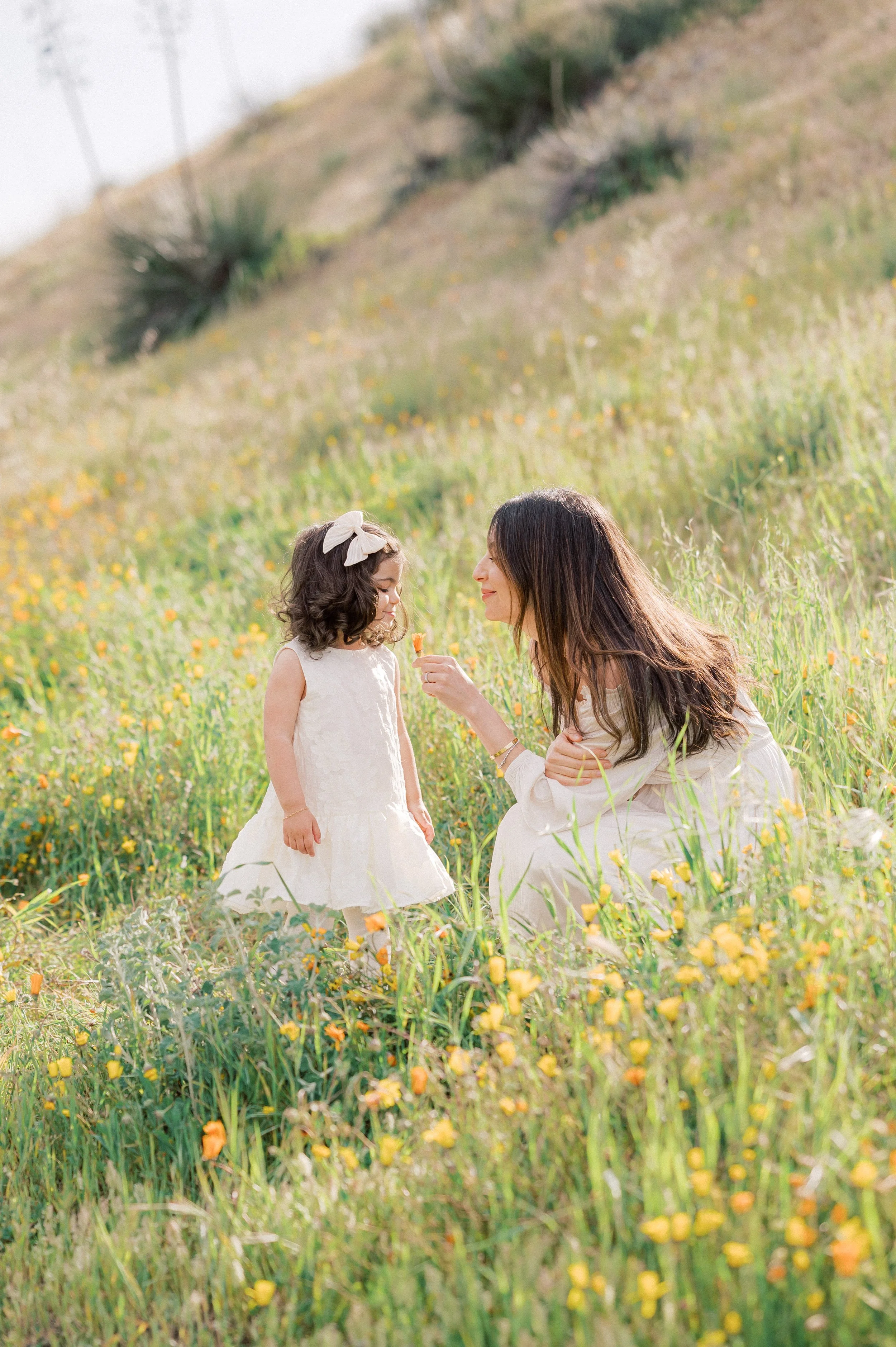 A Family Wildflower Session | Westlake Village, CA — Megan W Photography