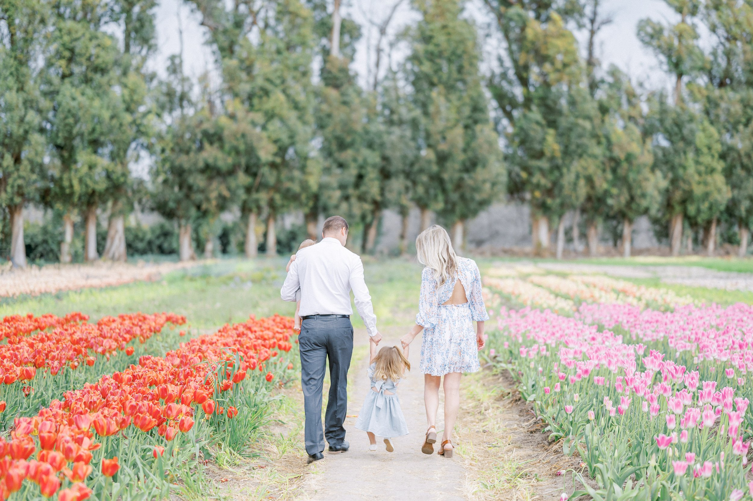 The Best Tulip Farm California Guide — Megan W Photography