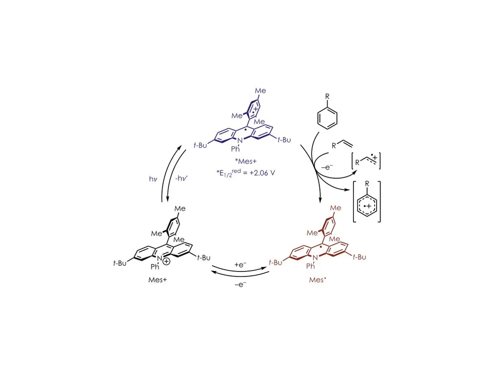 Organic Photoredox Catalysis — Nicewicz Laboratory