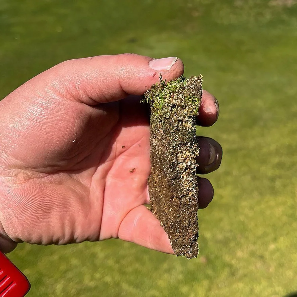 Why We Pull Plugs from the Greens: The Secret to a Healthier Course ...