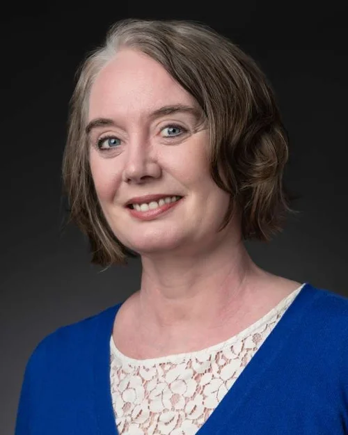 Township Organization — River Forest Township