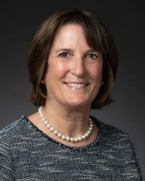 Township Organization — River Forest Township