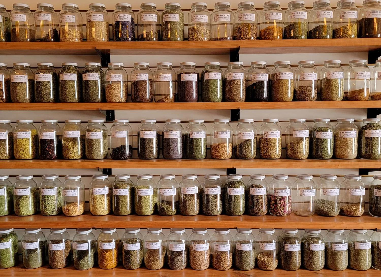 A Thousand Leaves Herbal Shop | Gainesville, FL