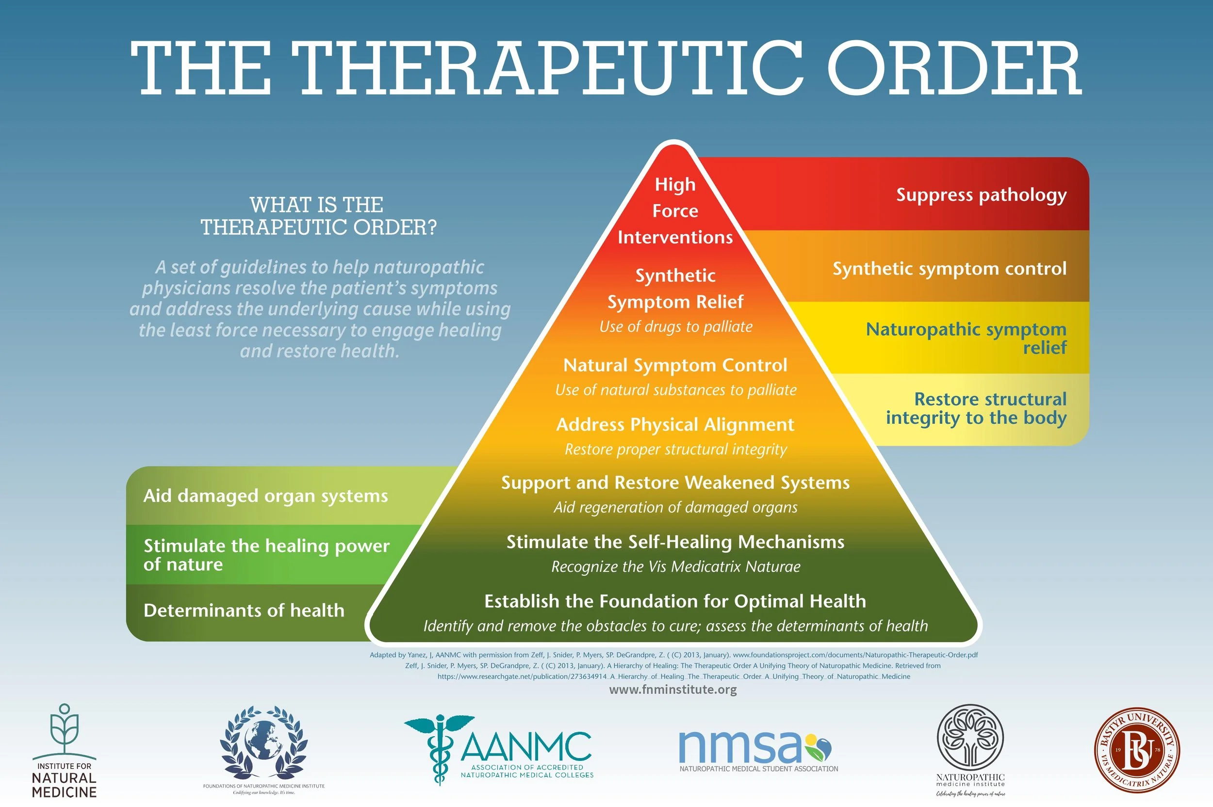 What is Naturopathic Medicine? — Meadowlark Natural Medicine, PLLC