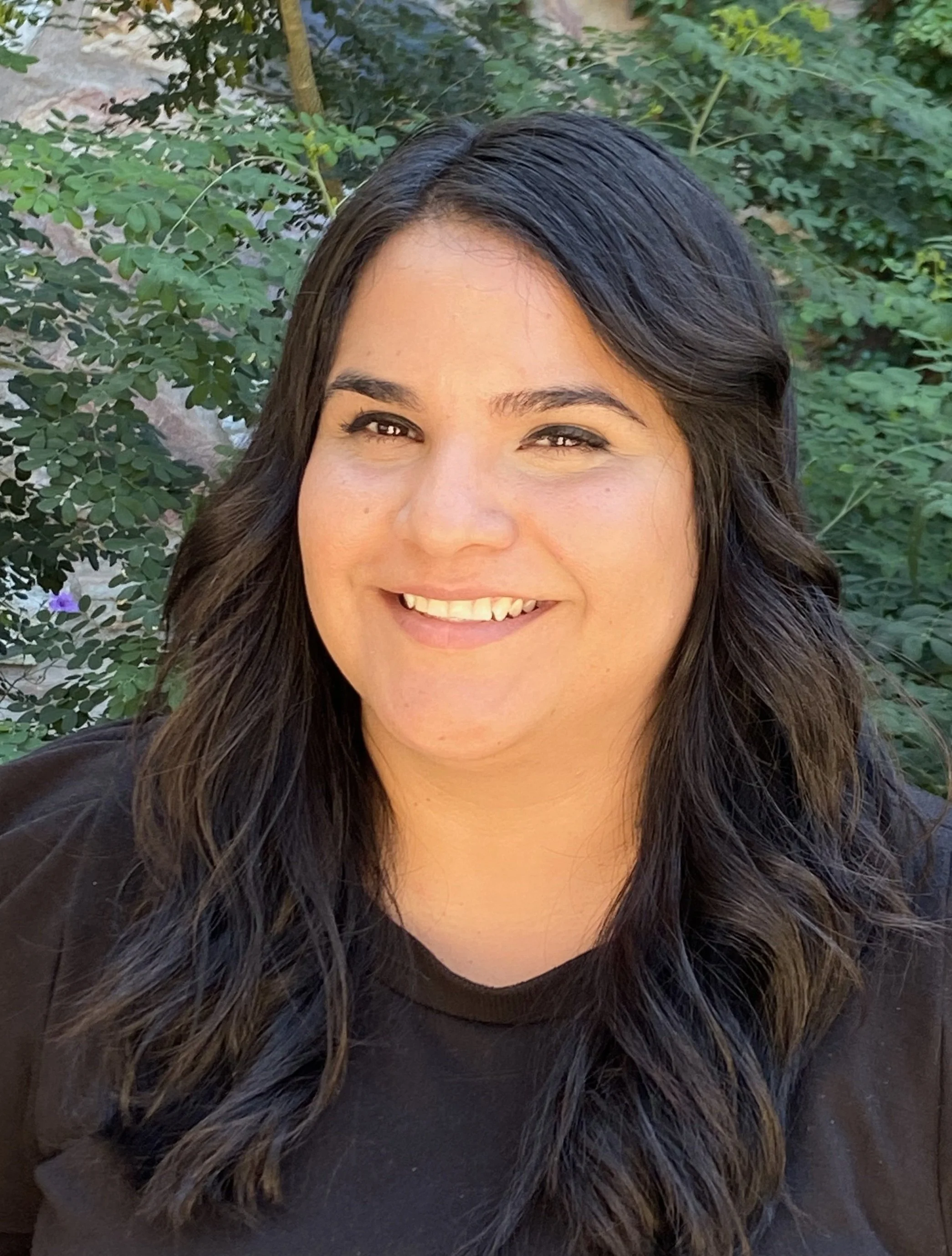 Palomino PN — MentorKids USA