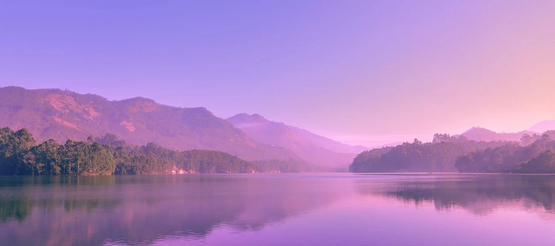 Mary Ritz | Acting Chief Executive Officer — Province Brands