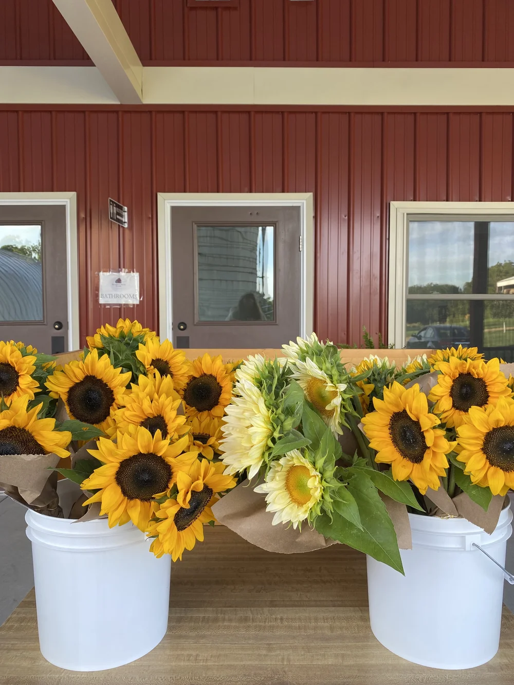 Lemon Acres Flower Farm