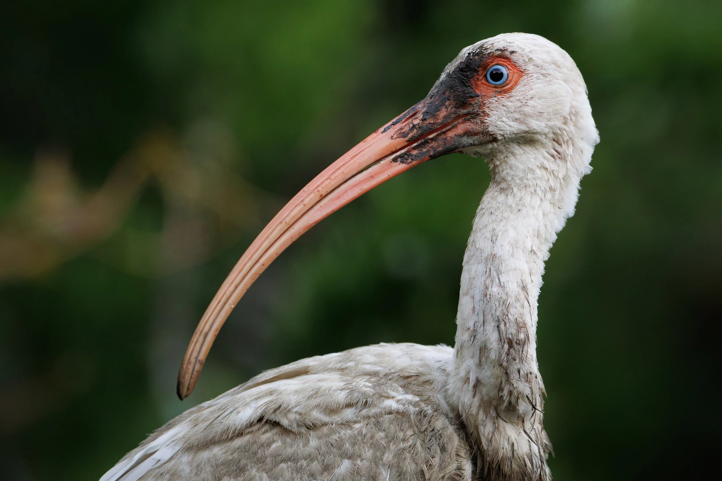 Simon Wray Photograhy