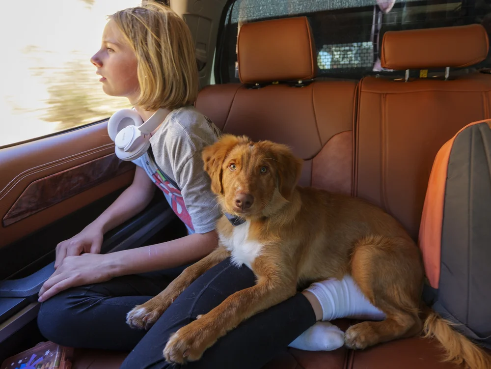 Toyota Tundra "Full-Size" Overland Build — Lifestyle Overland