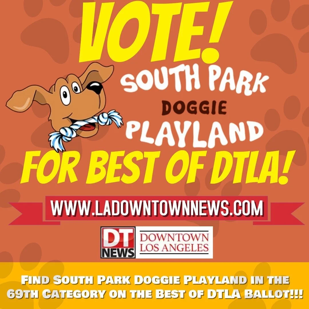 South Park Doggie Playland Dtla
