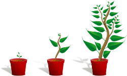 DiSC vs. StrengthsFinder — Comprehensive Guide — Strengths School ...