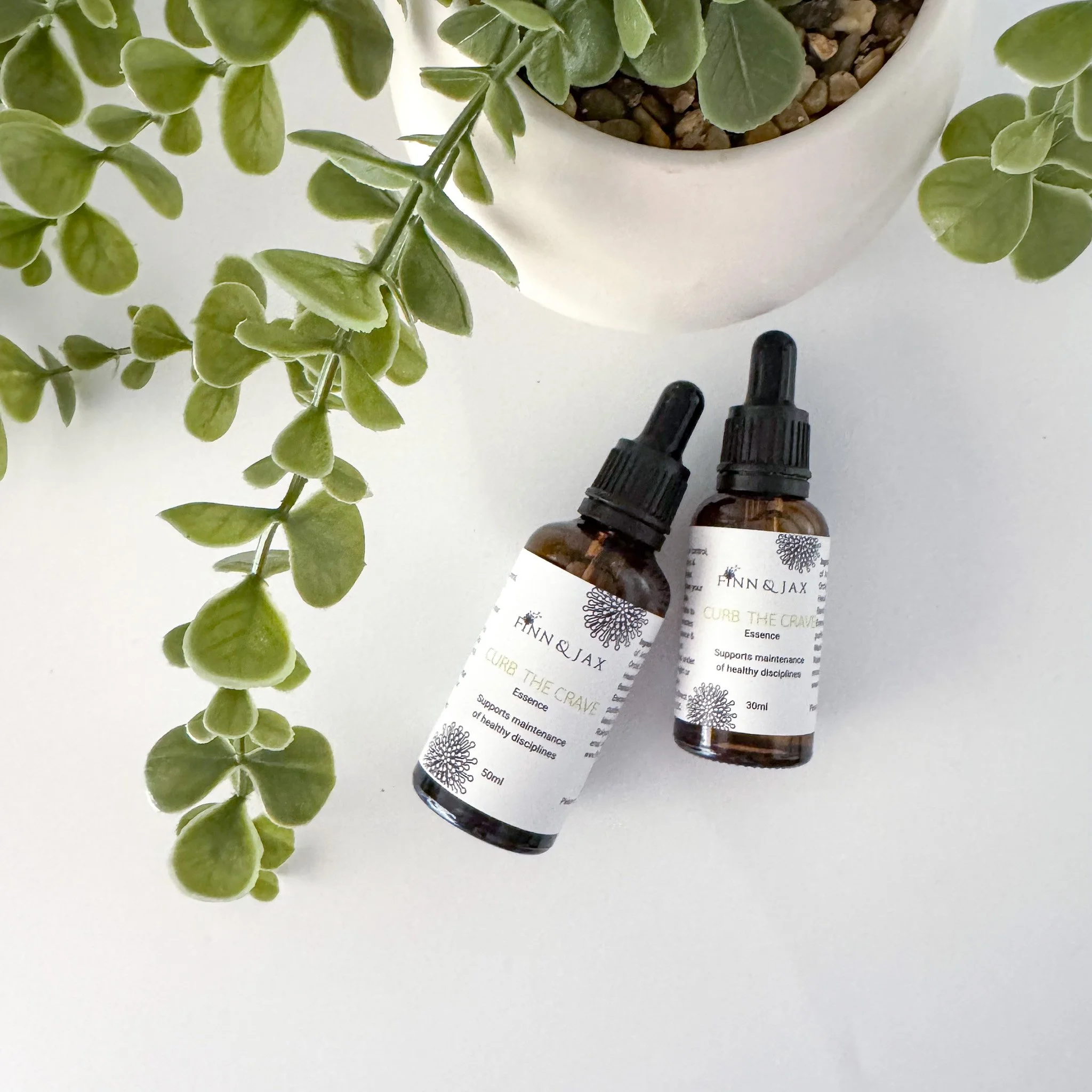 Support Flower Essence Drops - a natural remedy for distress, shock ...