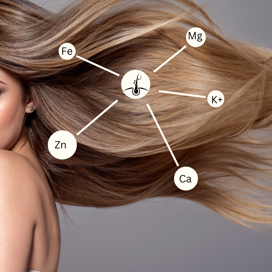 Unveiling Your Wellness Blueprint: The Power of Hair Tissue Mineral ...