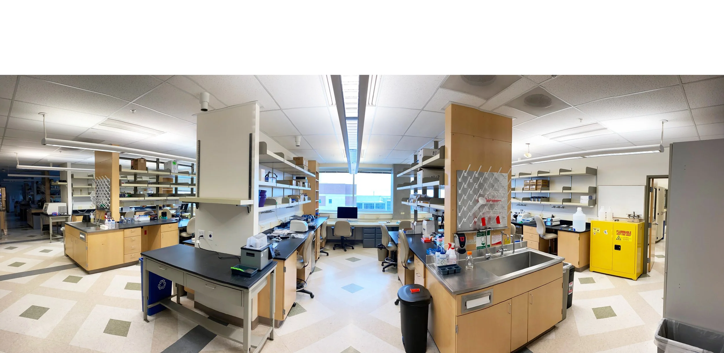 Publications — Johnson Lab