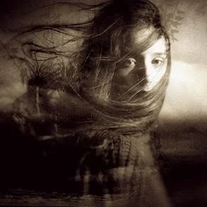 Artists — Leigh Art Trail