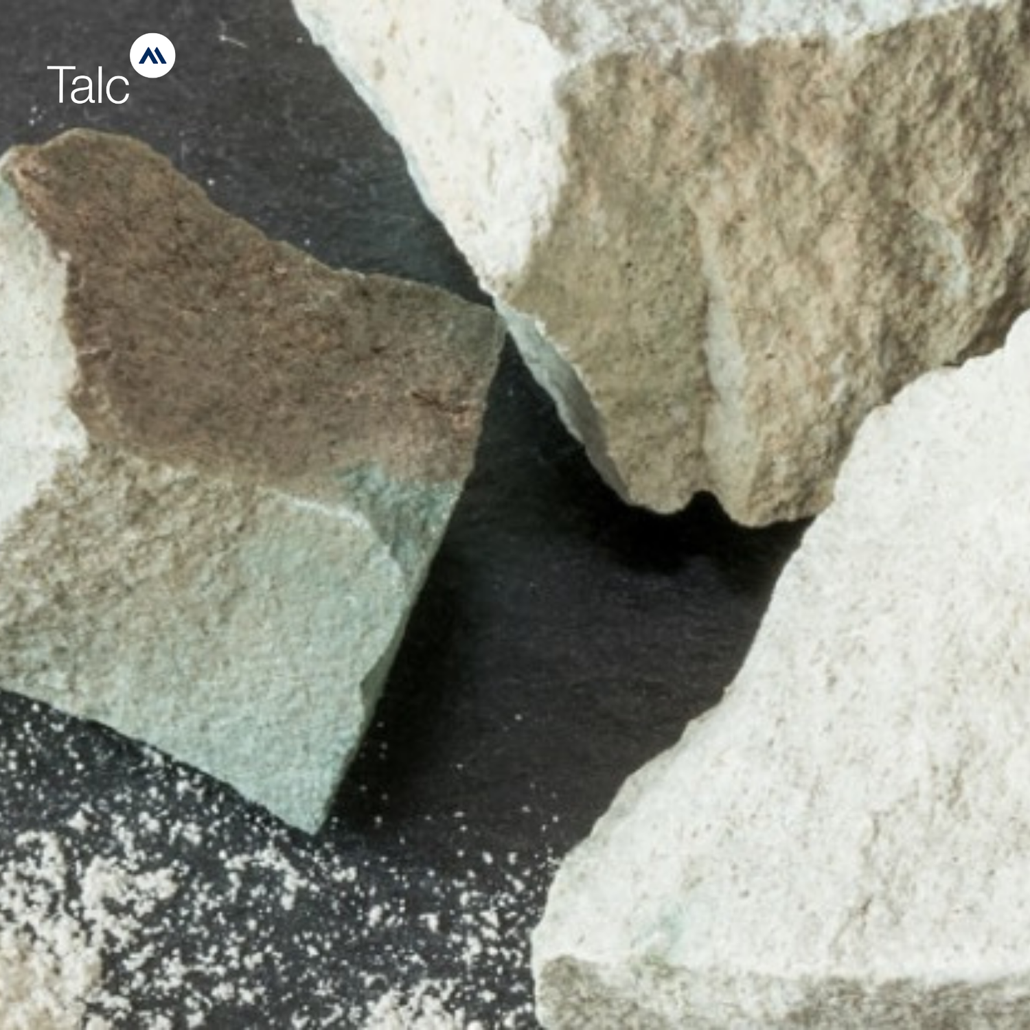 Company — Magris Performance Materials