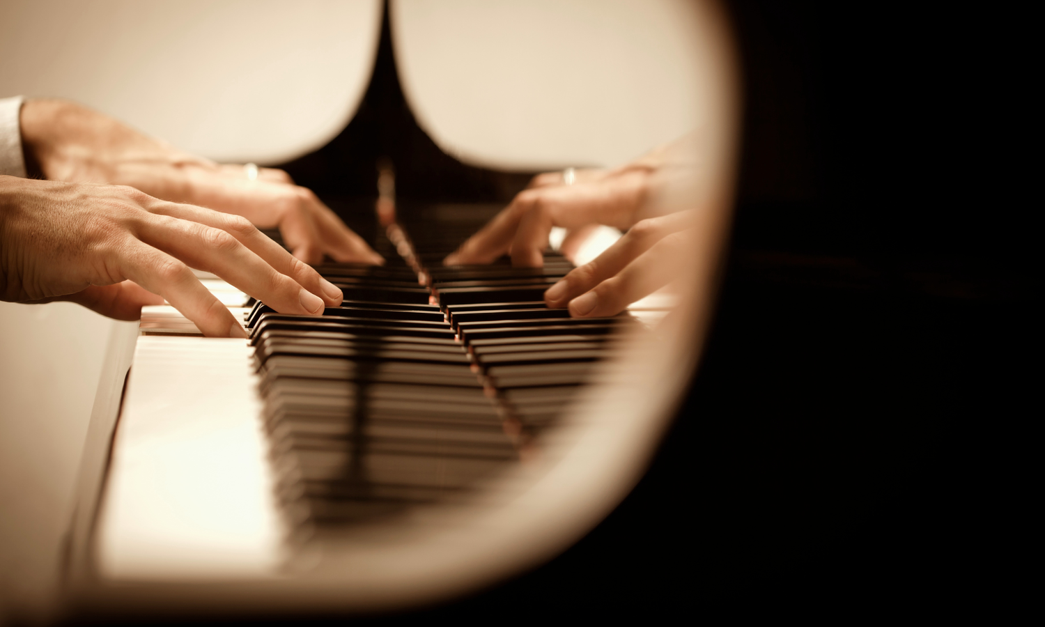 SER Steak + Spirits | Experience Fine Dining Now