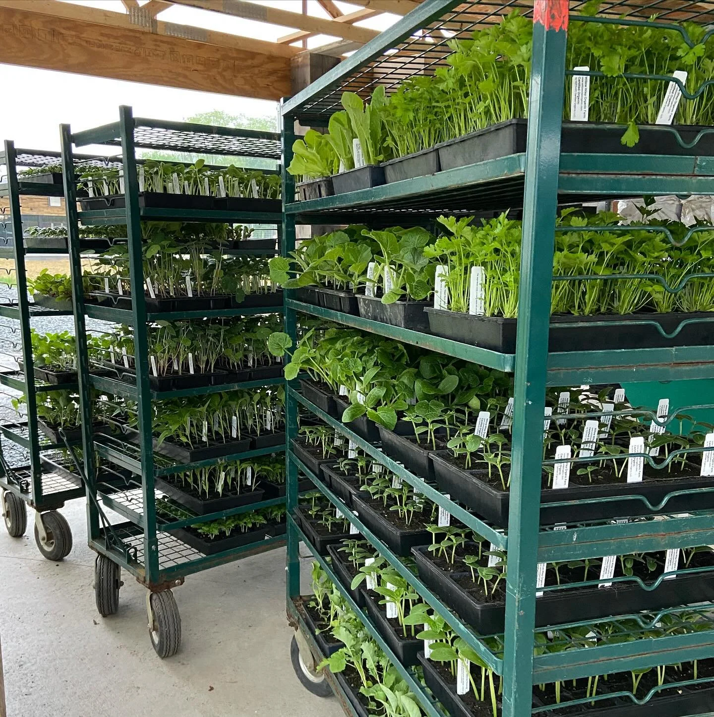 Workshops | Farm Arts Collective | Theater Company