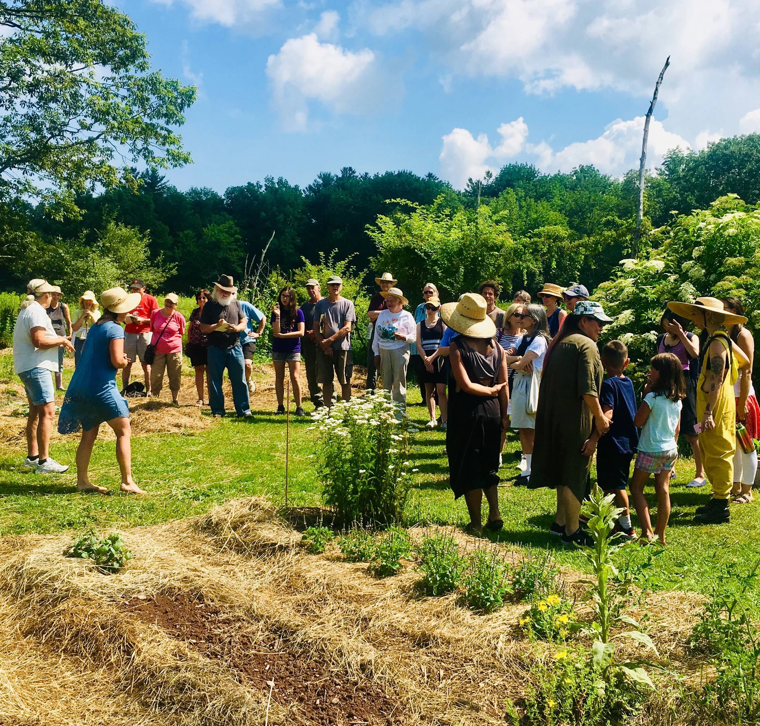 Our Mission | Farm Arts Collective | Theater Company