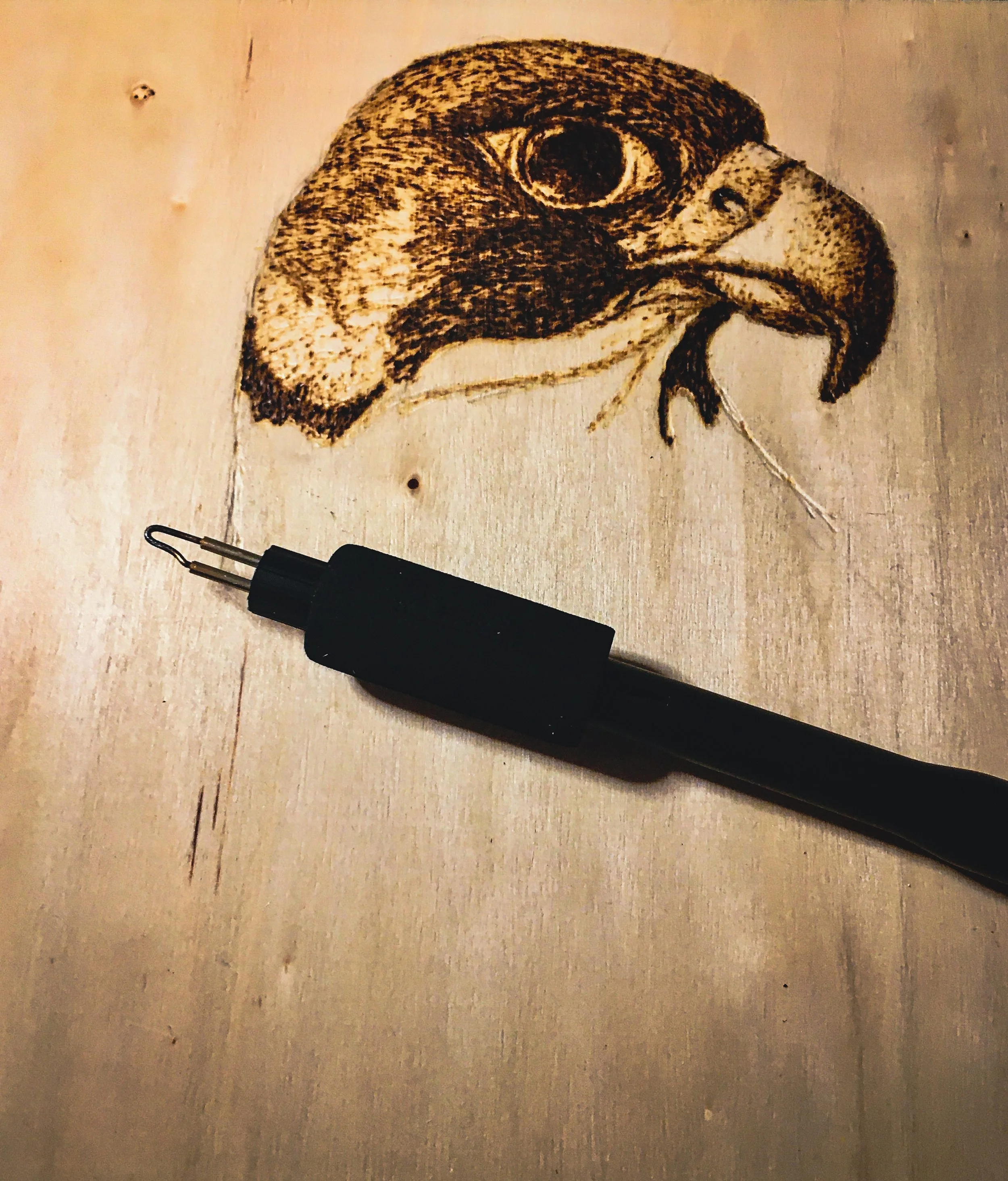 Pyrography — Ashes 2 Beauty Art