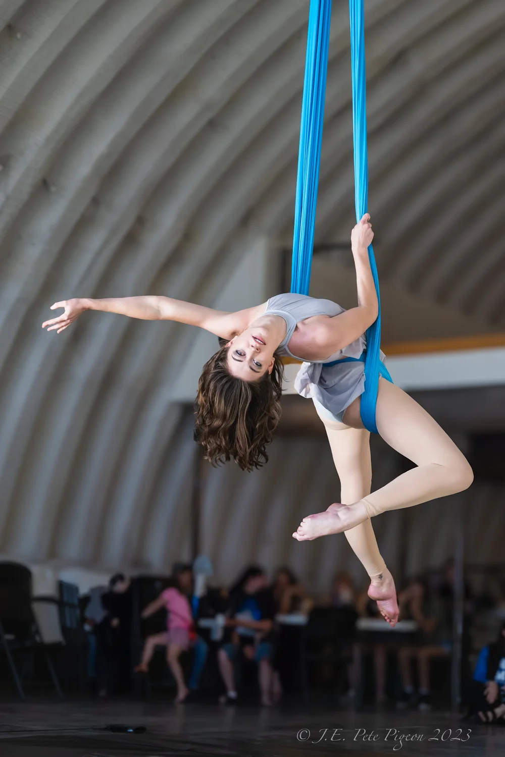 Inspired Aerial Arts