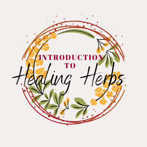 Store 2 — Lisa Merrifield ~ Astrology & Holistic Health