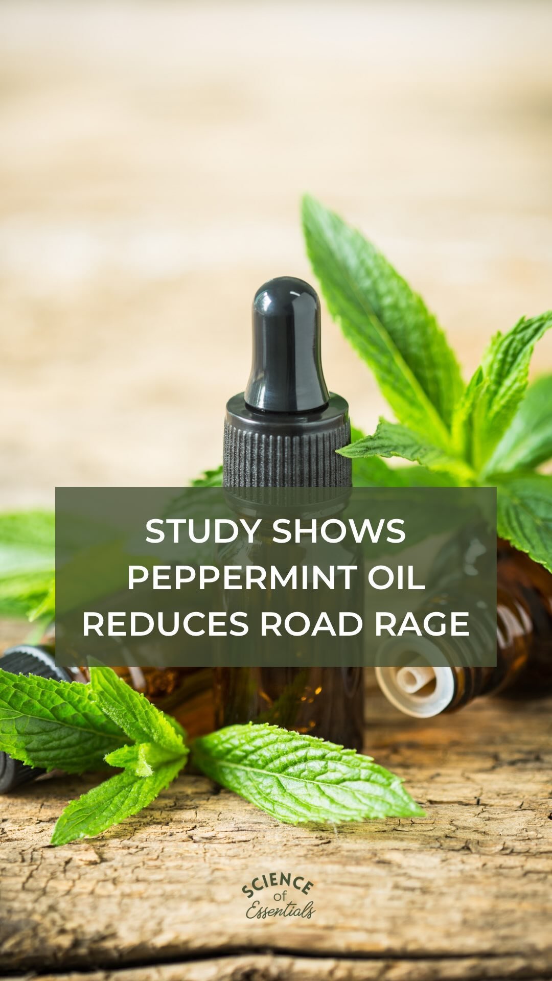 How to Safely Add Essential Oils to Your Bath — Science of Essentials