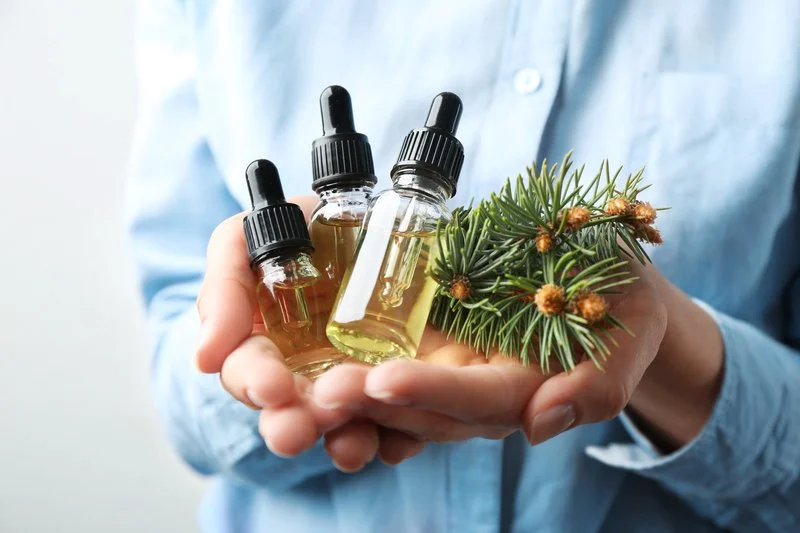 The Forest in a Bottle: The Healing Power of Tree Essential Oils ...