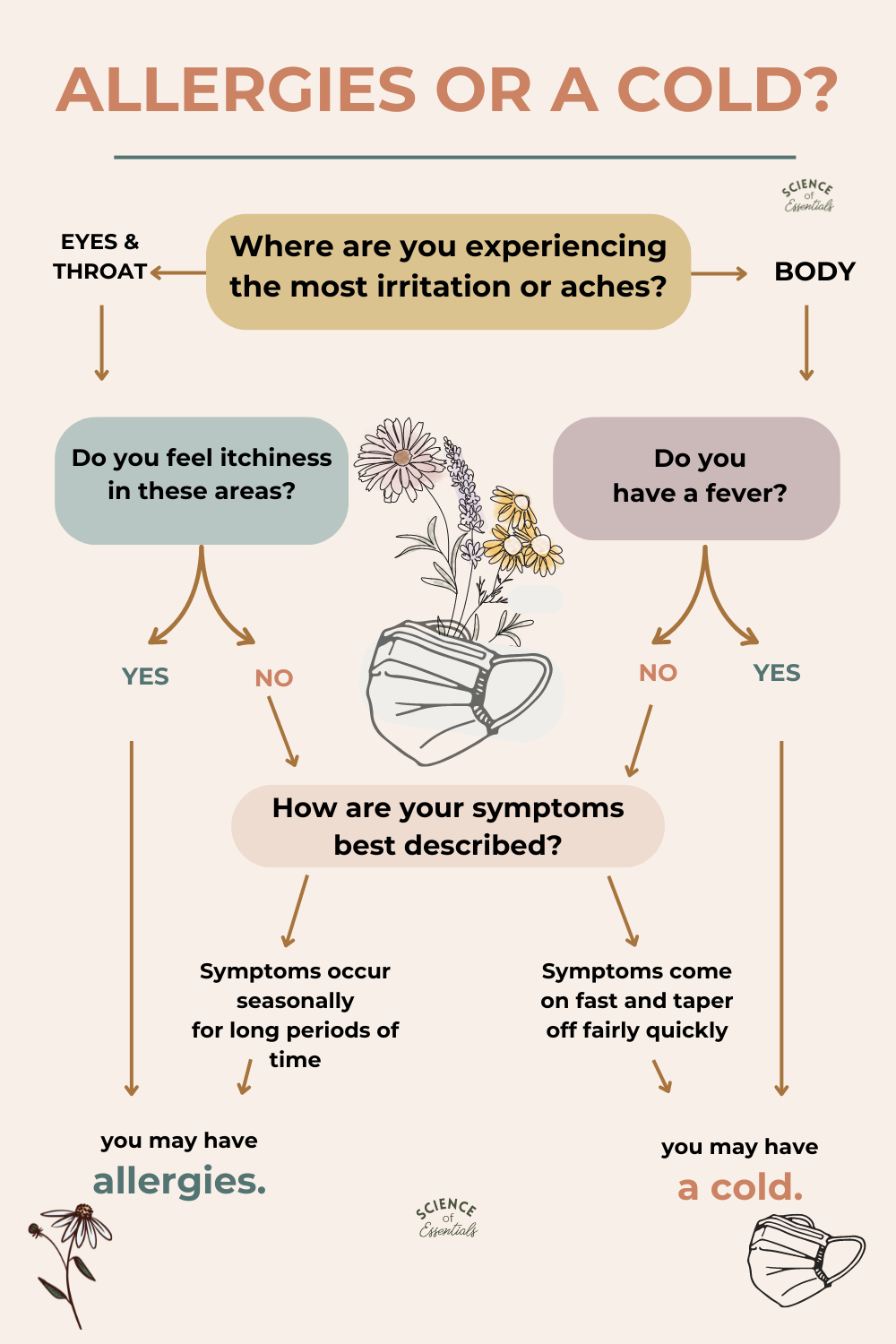 Spring Sniffles No More: Aromatherapy Tips for Allergy Relief — Science ...