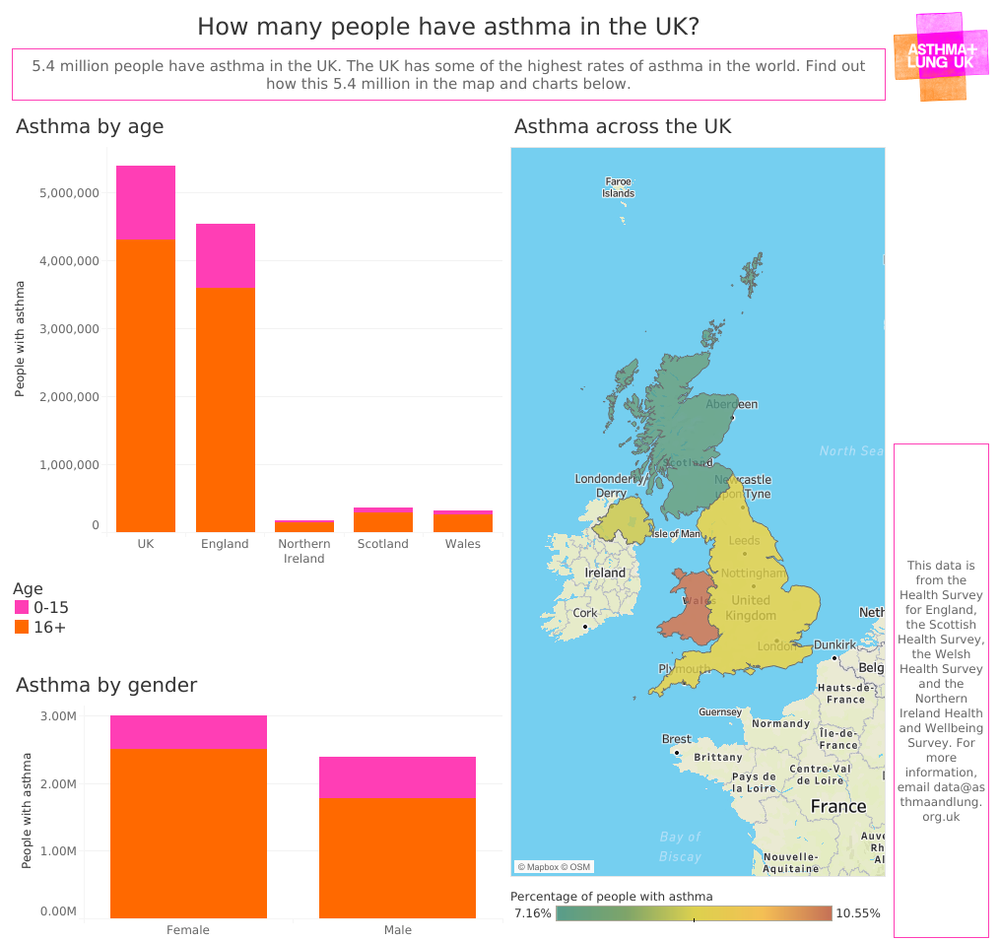 Asthma Explained: Causes, Symptoms, Treatments