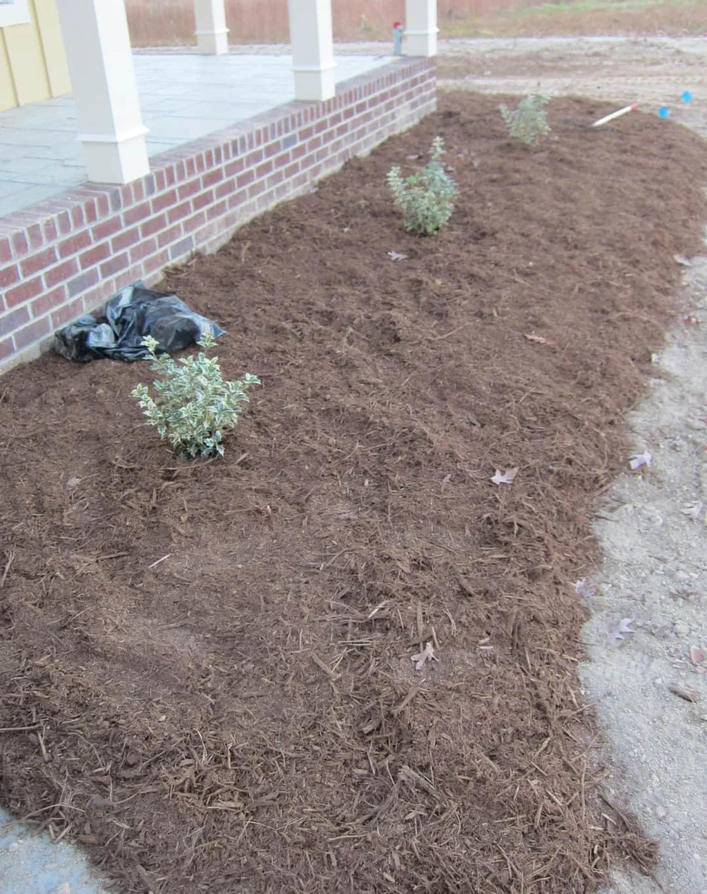 Too Much Mulch - Tightening Up Your Garden Design — Wild Roots Native ...