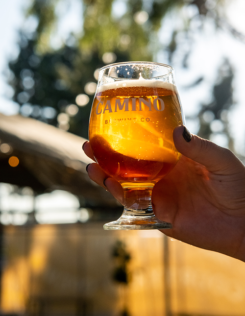 Camino Brewing Co.