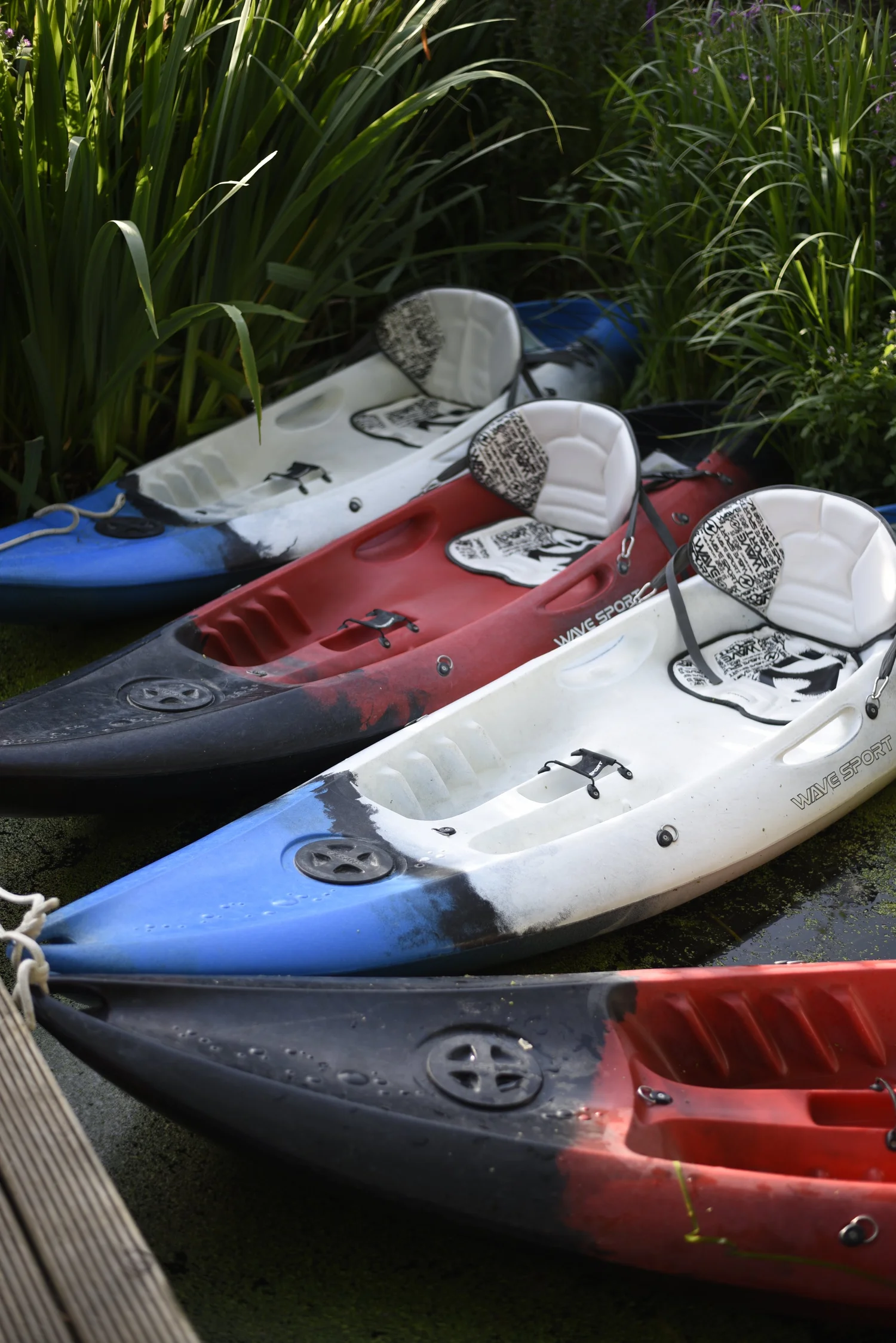 Book Now — Stour Kayak