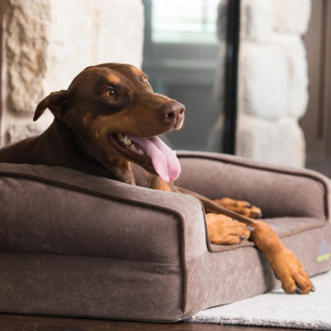 Dog Beds for Hotels — American Pet Works