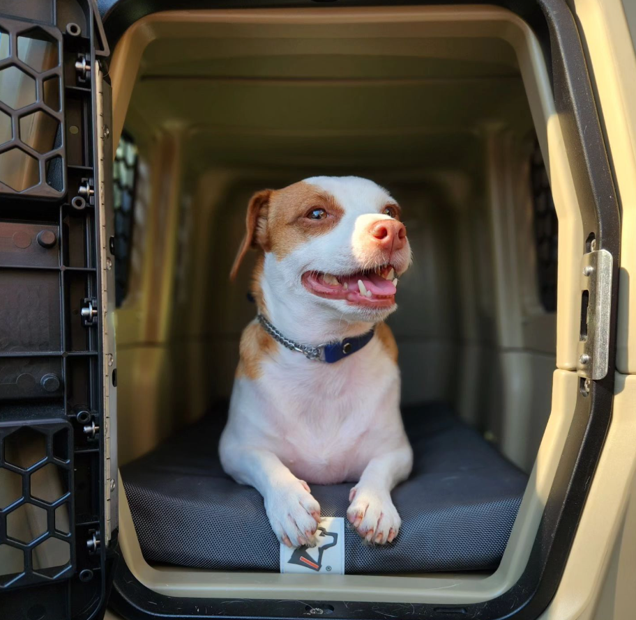 Product Design — American Pet Works