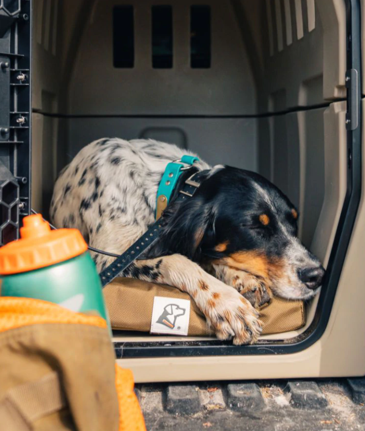 USA Manufacturer of Custom Pet Products | American Pet Works