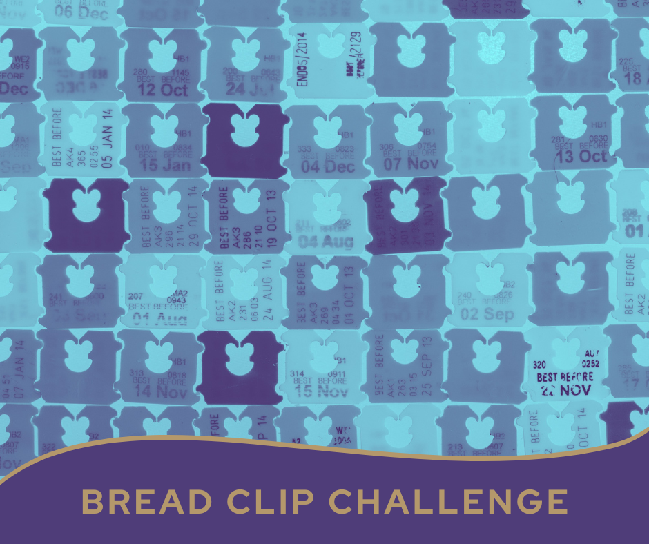 Special Projects — Future Oceans International