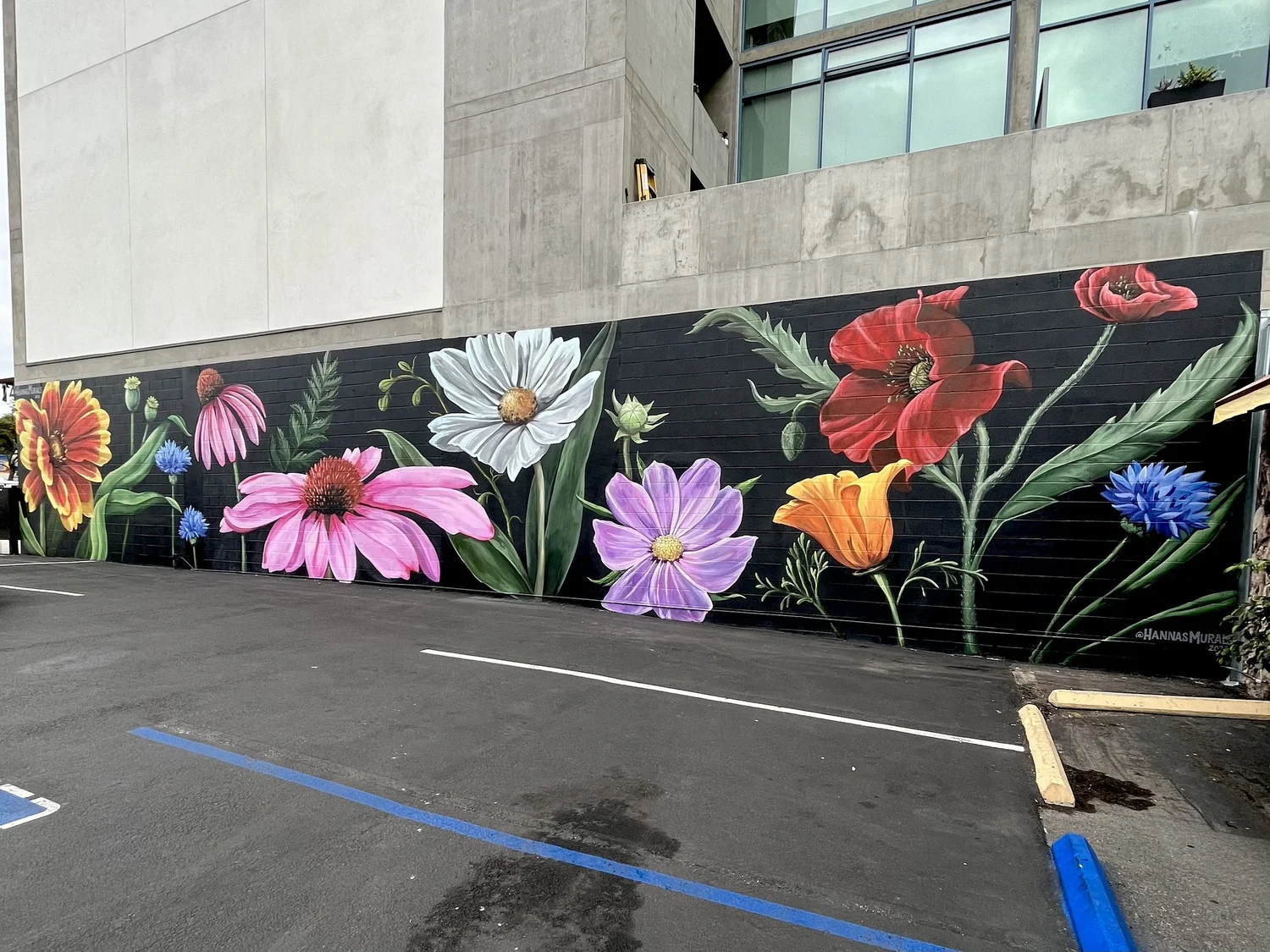Exterior — Hanna's Murals San Diego