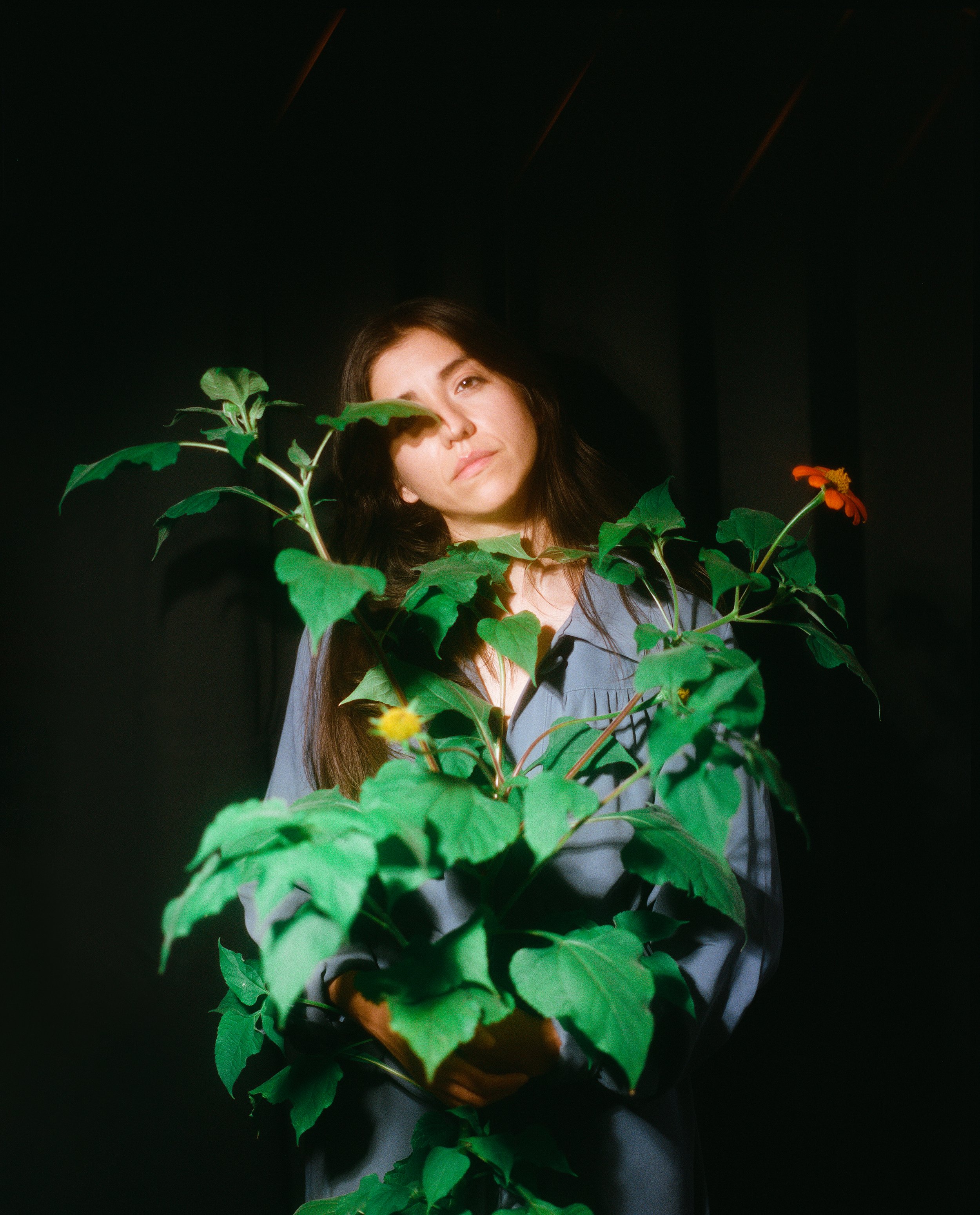 Videos — Carli & The Dark