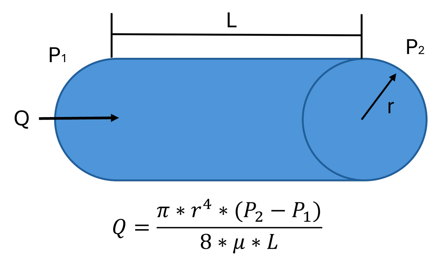 How Fluid Physics Shape Pressure and Flow in Vascular Simulation ...