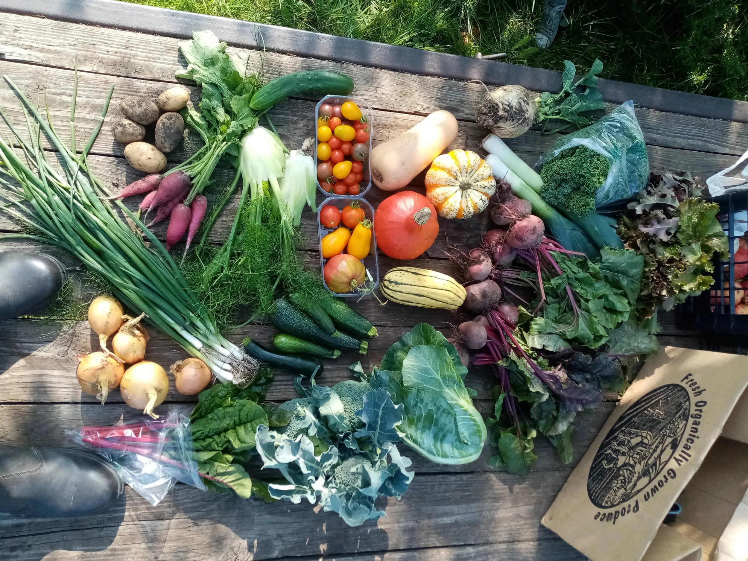 About the farm — Waterland CSA