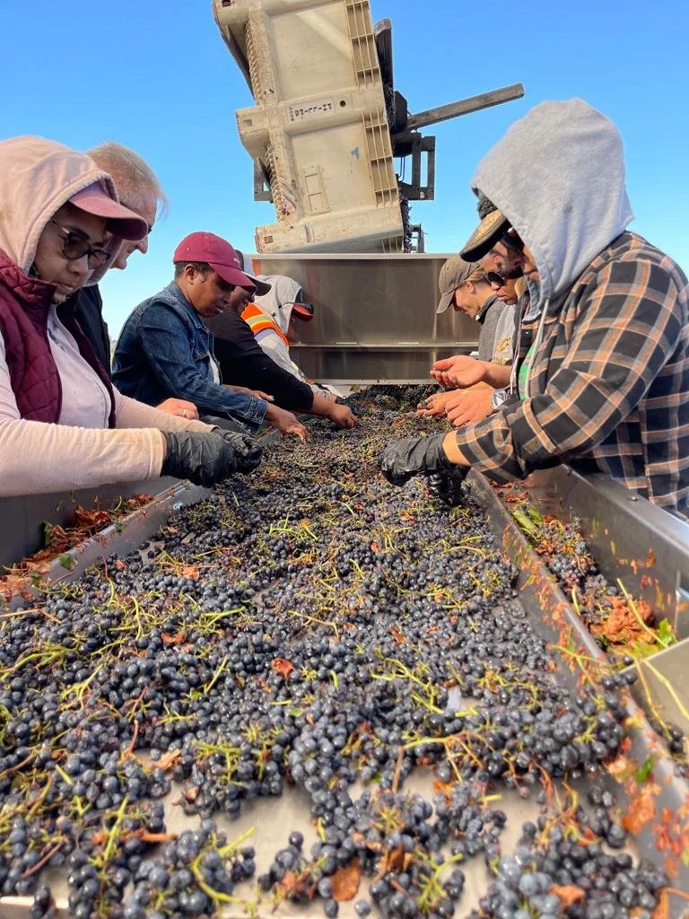 The Roots Fund - Wine Industry Nonprofit