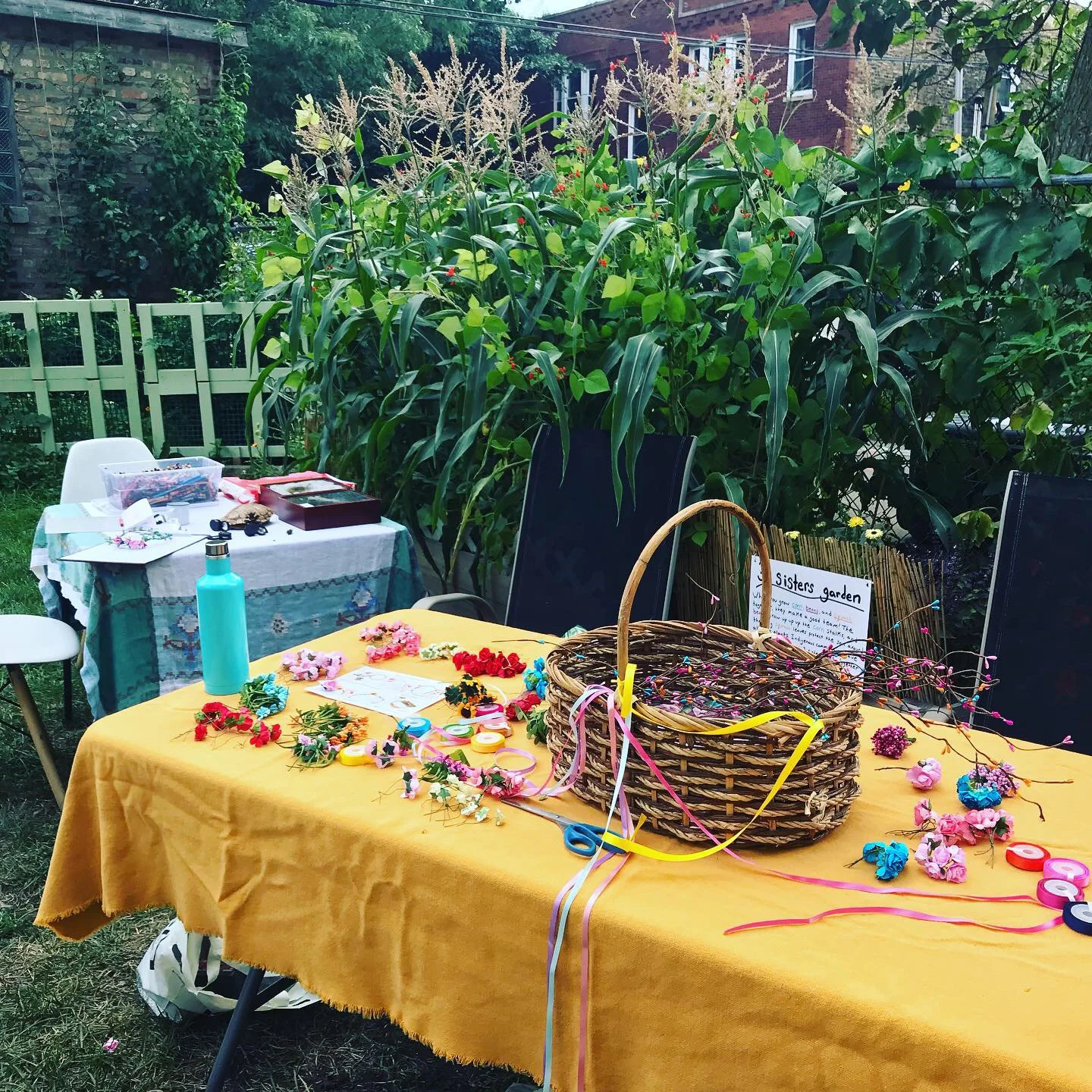 Camps and Classes — Blazing Star School